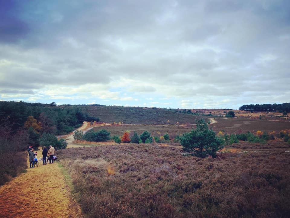 Hankley Common – Atlantic Wall – Walks with Rena