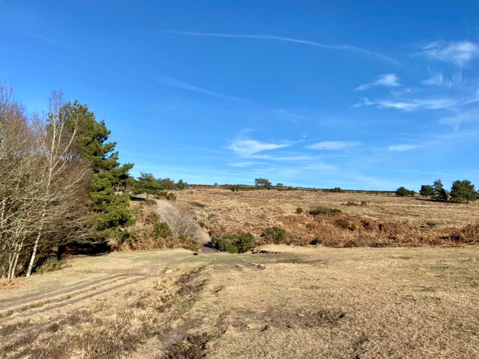 Ashdown Forest – Garden of Eden waterfall from Ellison’s Pond – Walks ...