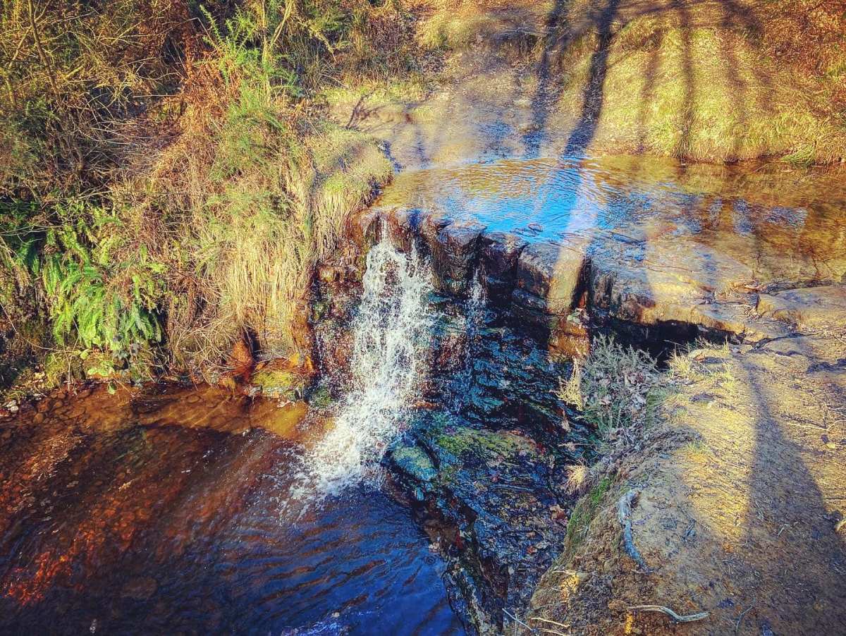 Ashdown Forest – Garden of Eden waterfall from Ellison’s Pond – Walks ...