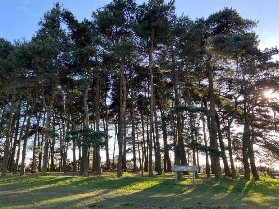 Ashdown Forest – Garden of Eden waterfall from Ellison’s Pond – Walks ...