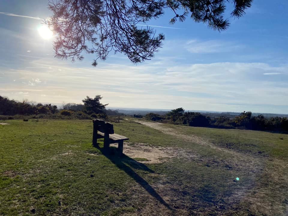 Ashdown Forest – Garden of Eden waterfall from Ellison’s Pond – Walks ...