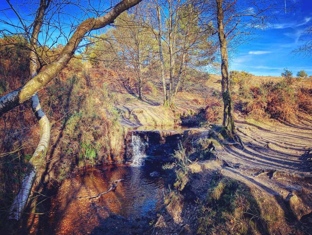 Ashdown Forest – Garden of Eden waterfall from Ellison’s Pond – Walks ...