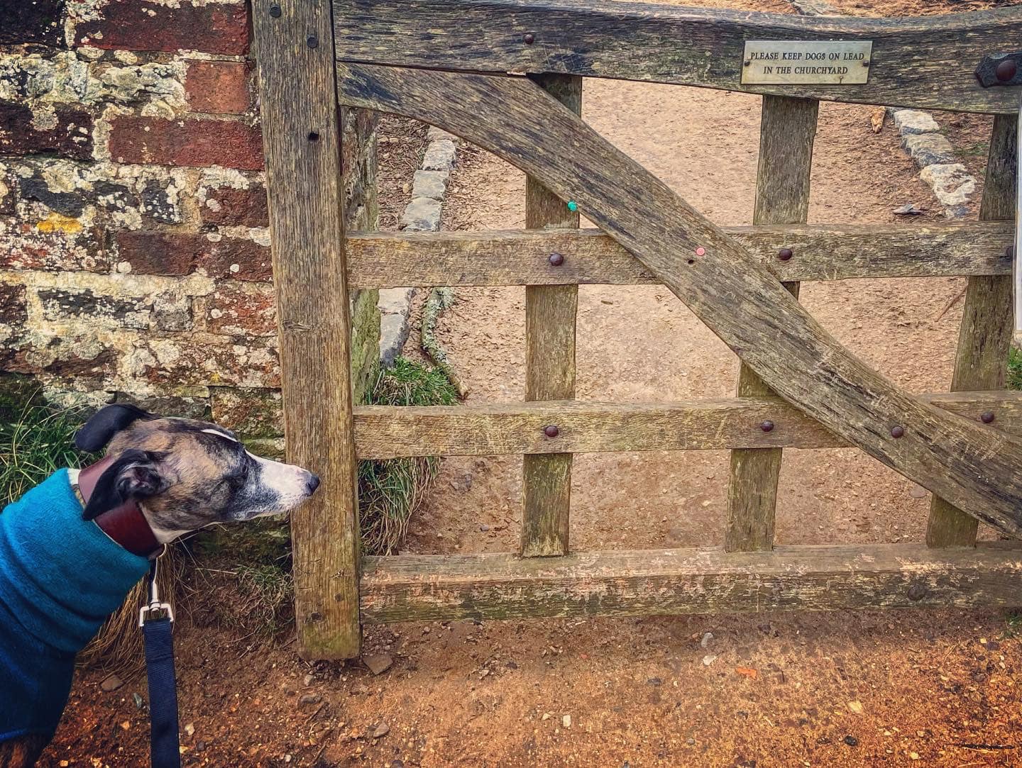 St Martha’s Hill and church – Walks with Rena