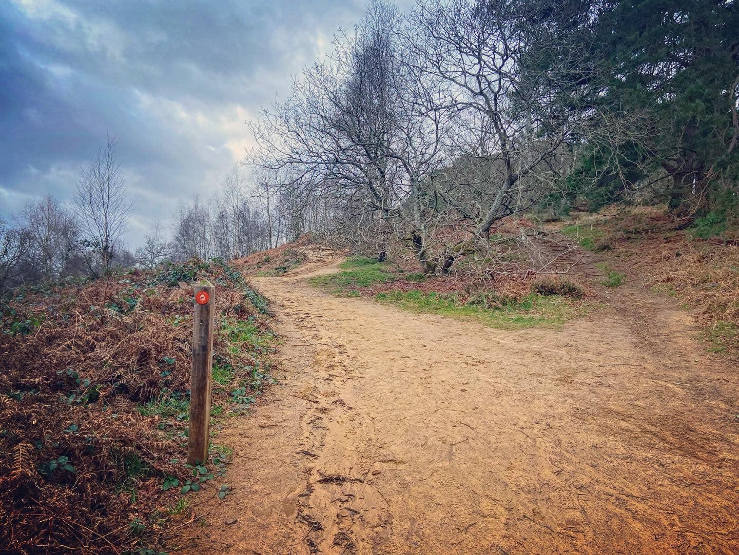 St Martha’s Hill and church – Walks with Rena