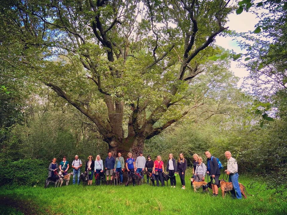 Ashtead Common – Walks with Rena