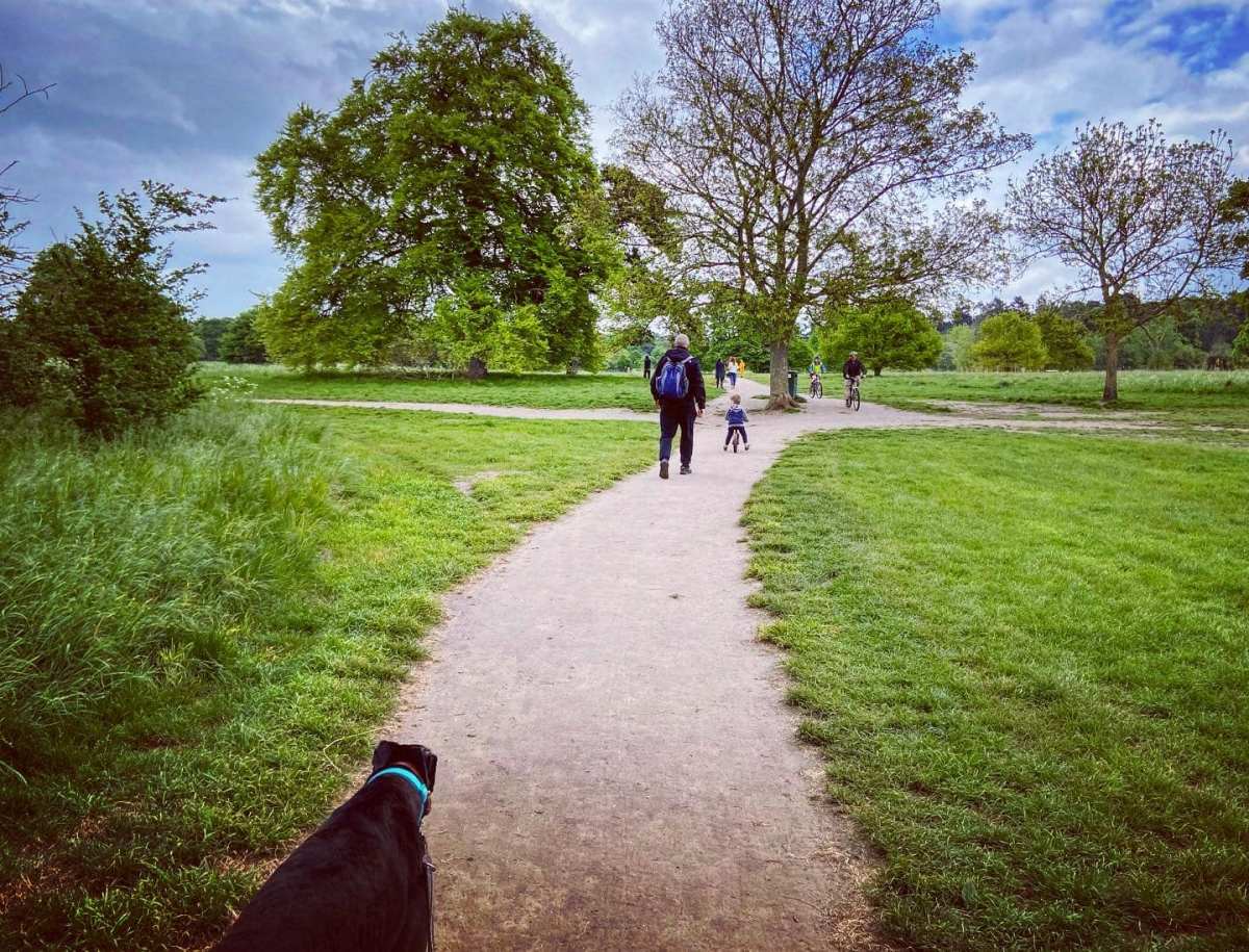 Nonsuch Park and Warren Farm – Walks with Rena