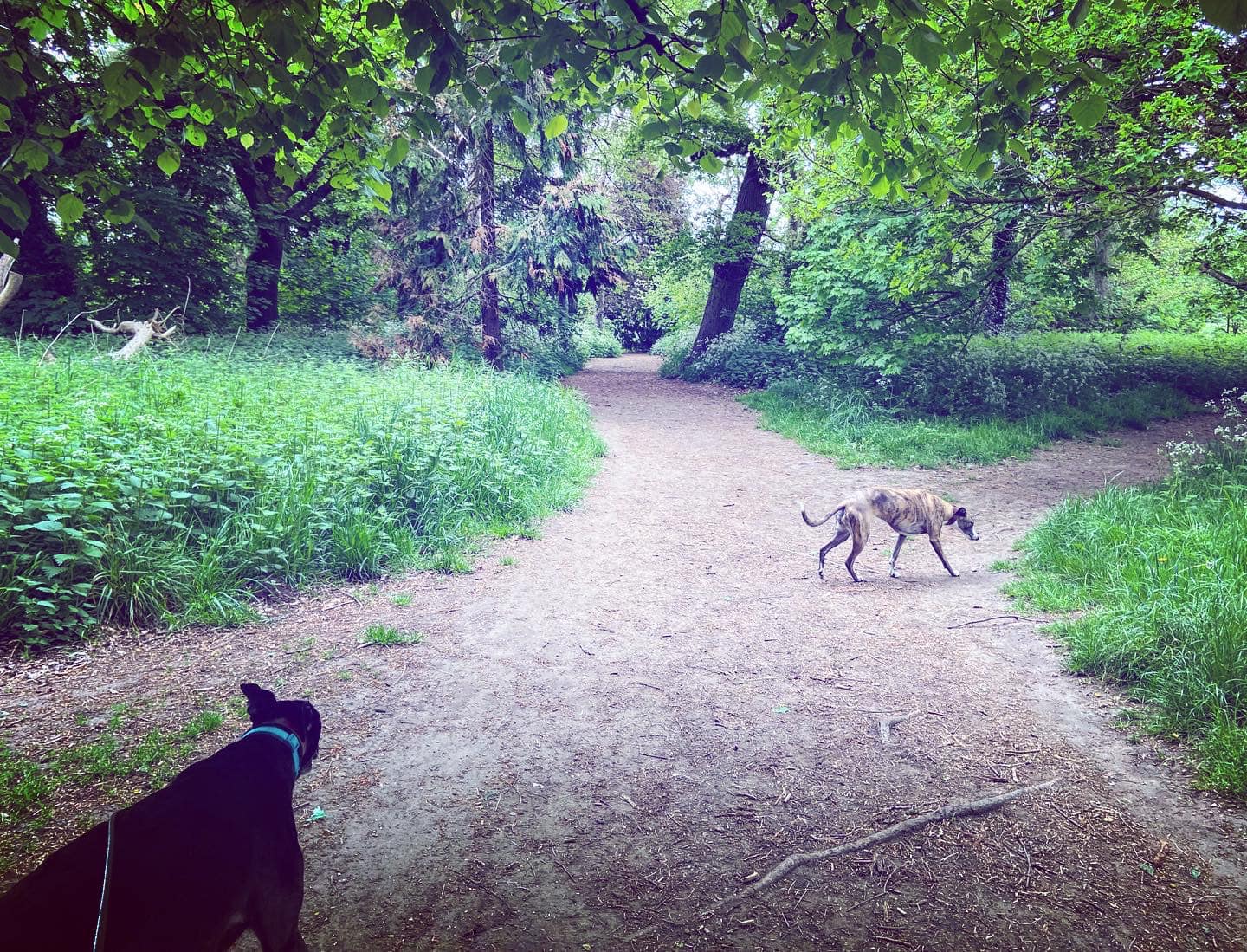 Nonsuch Park and Warren Farm – Walks with Rena