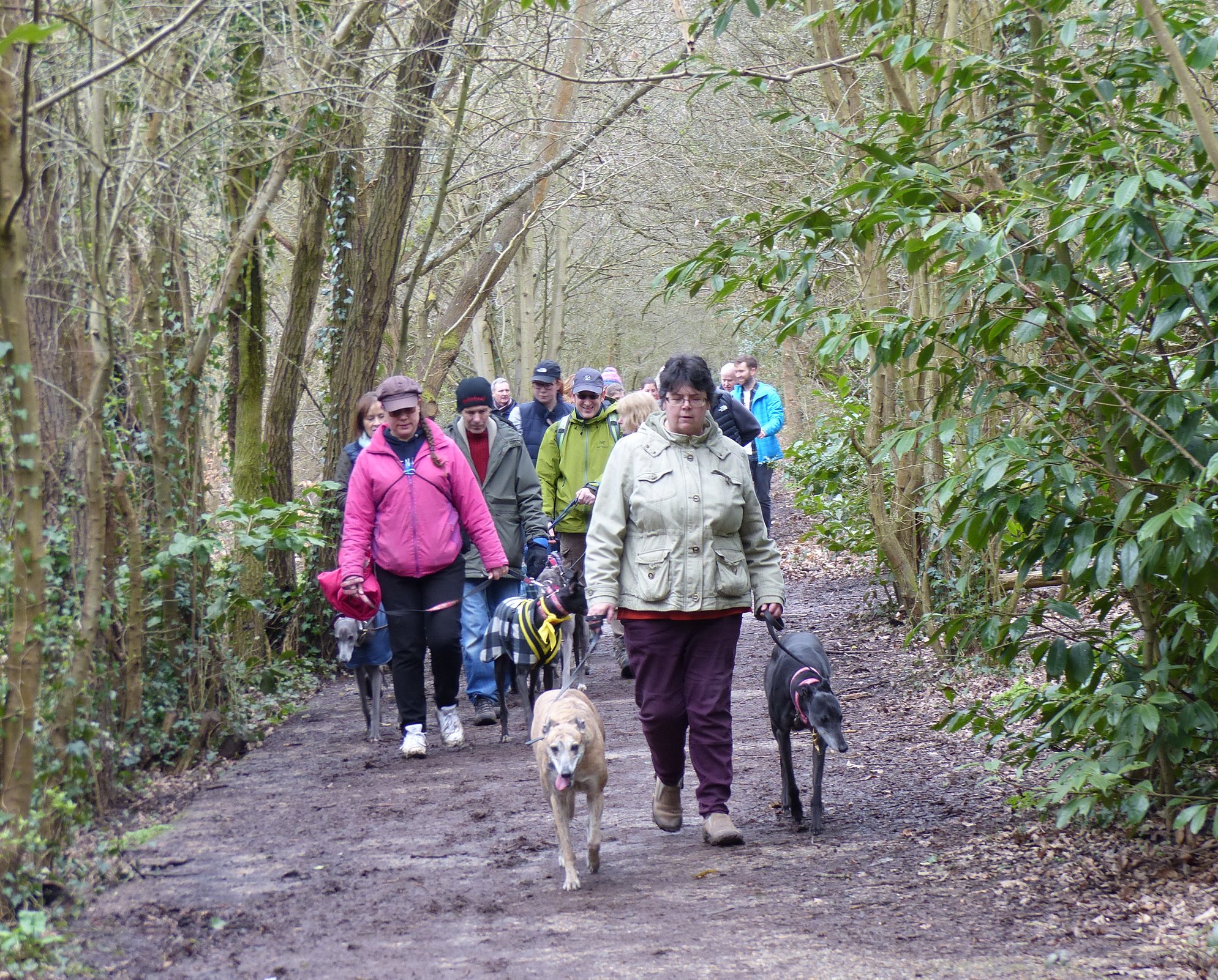 Nonsuch Park and Warren Farm – Walks with Rena