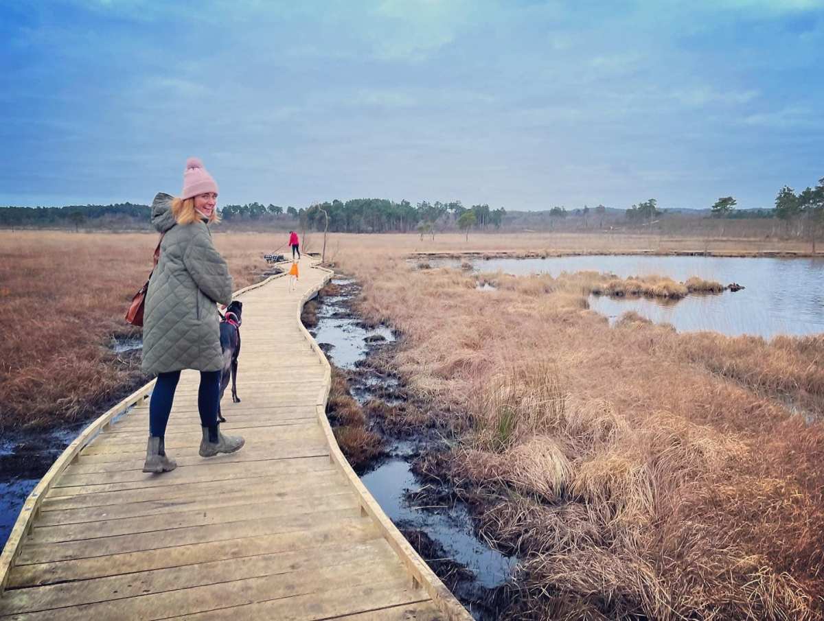 Thursley Common National Nature Reserve – Walks with Rena