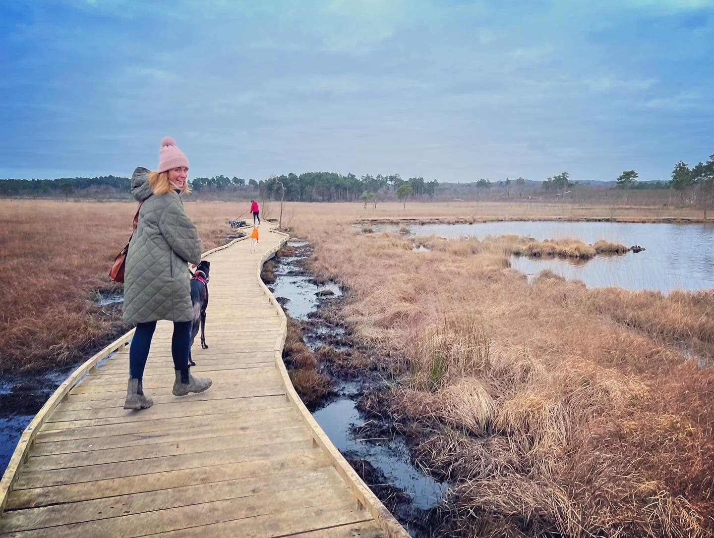 Thursley Common National Nature Reserve – Walks with Rena