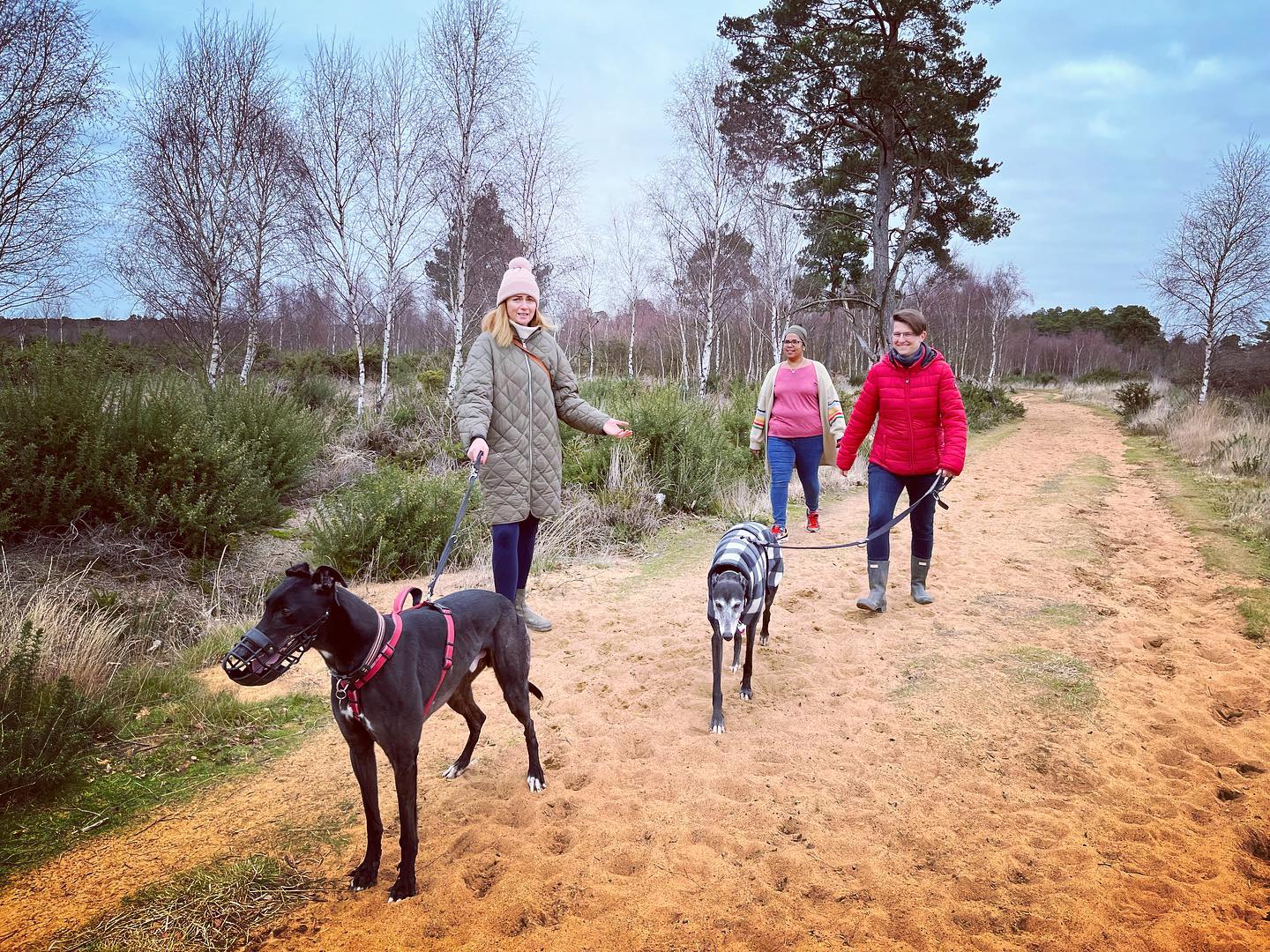 Thursley Common National Nature Reserve – Walks with Rena