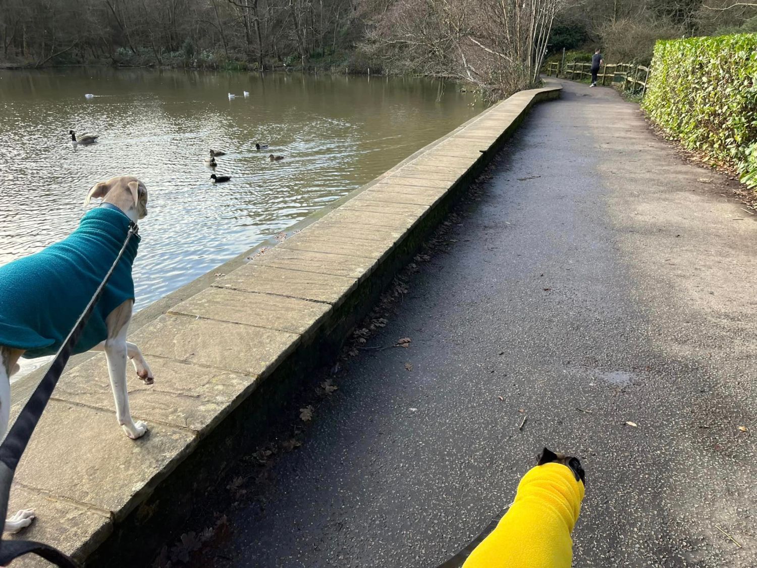 Tilgate Park – Walks with Rena