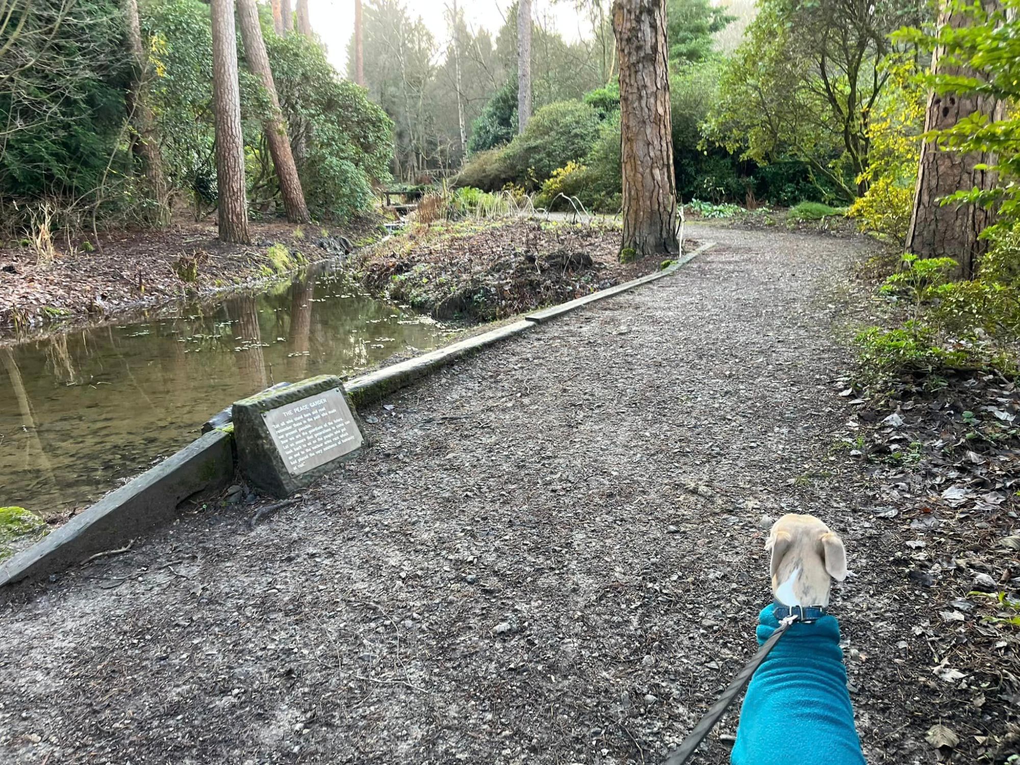 Tilgate Park – Walks with Rena