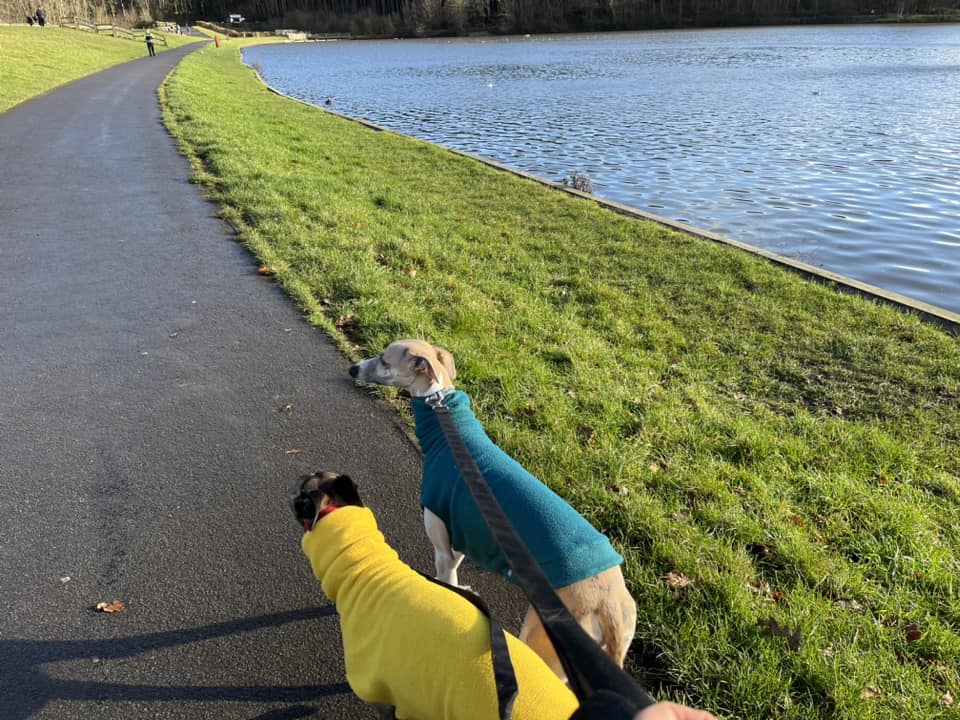 Tilgate Park – Walks with Rena