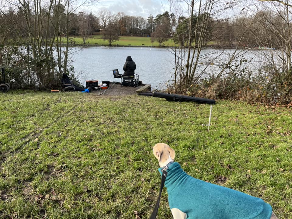Tilgate Park – Walks with Rena