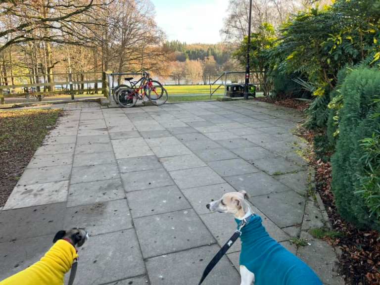 Tilgate Park – Walks with Rena