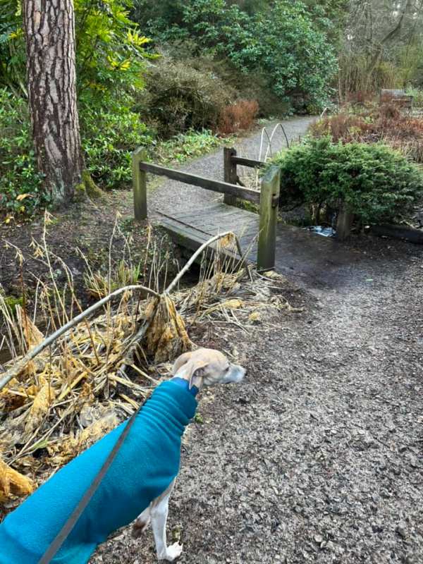 Tilgate Park – Walks with Rena