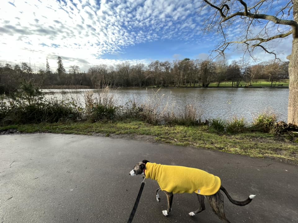 Tilgate Park – Walks with Rena