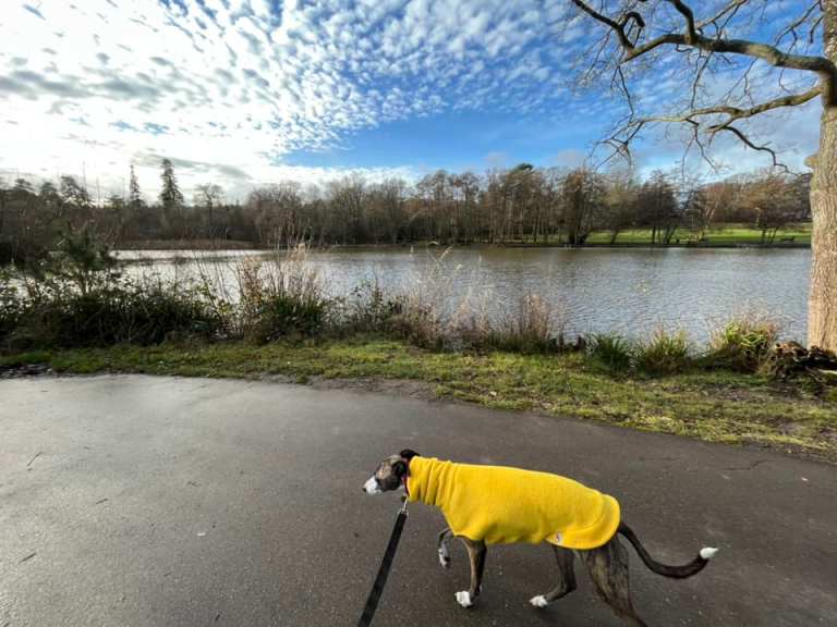 Tilgate Park – Walks with Rena