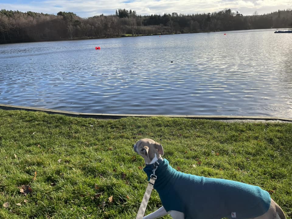 Tilgate Park – Walks with Rena