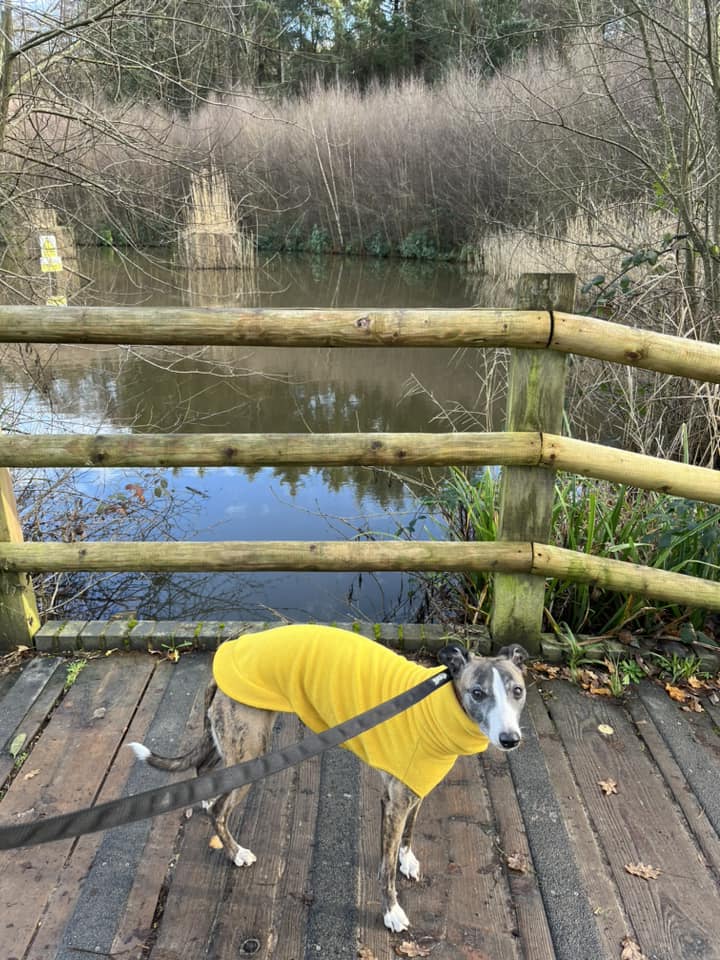 Tilgate Park – Walks with Rena