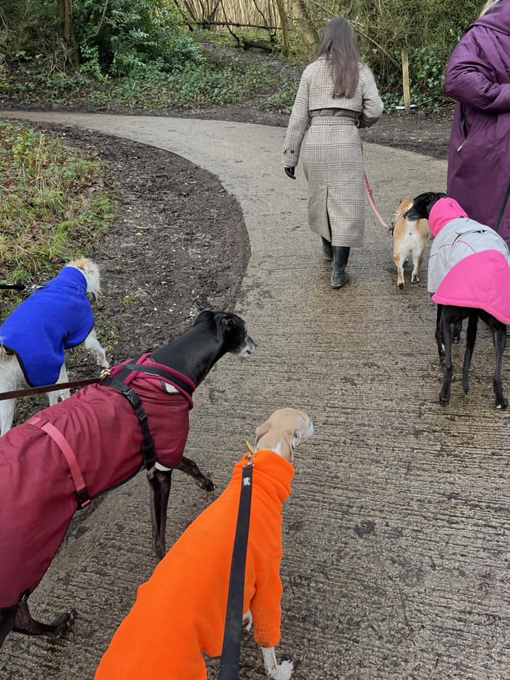 Denbies Wine Estate – Walks with Rena