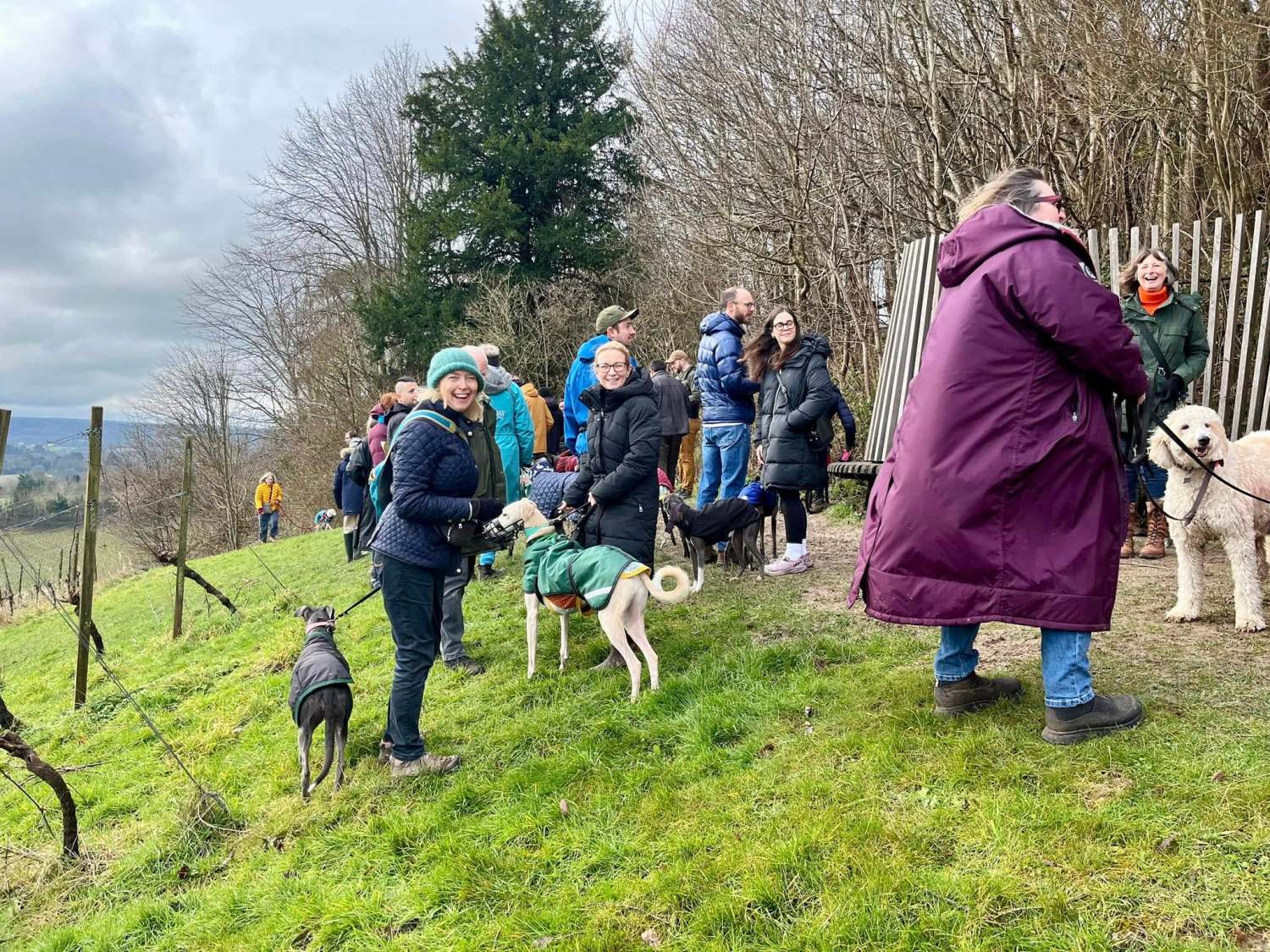 Denbies Wine Estate – Walks with Rena