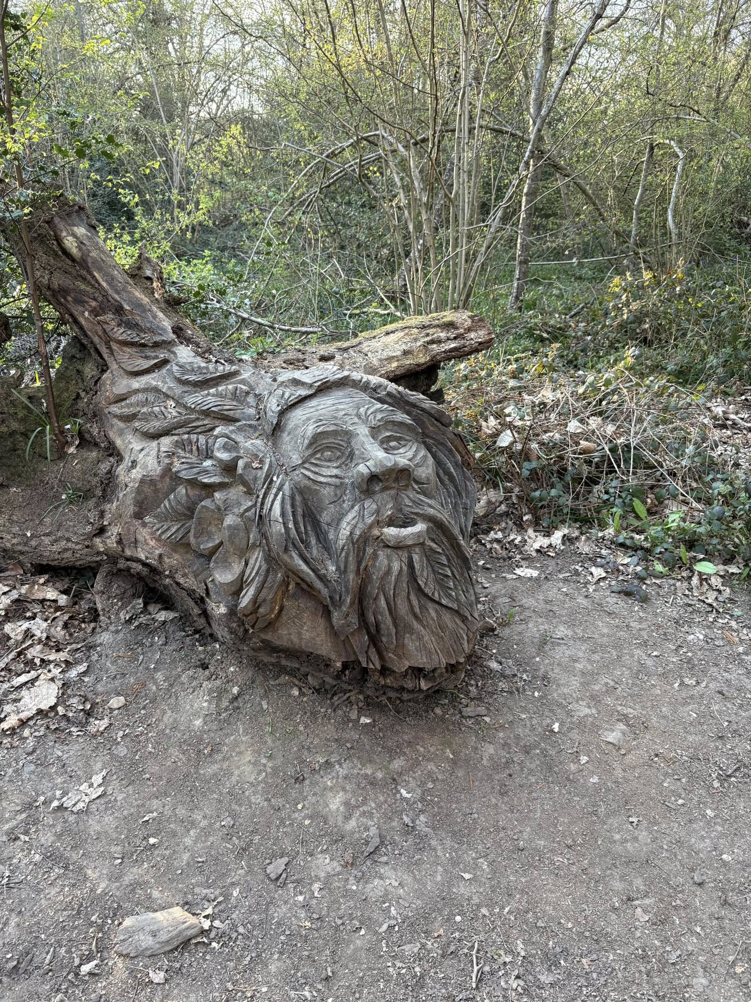 Selsdon Nature Reserve – Walks with Rena