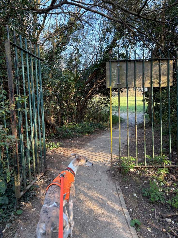 Selsdon Nature Reserve – Walks with Rena